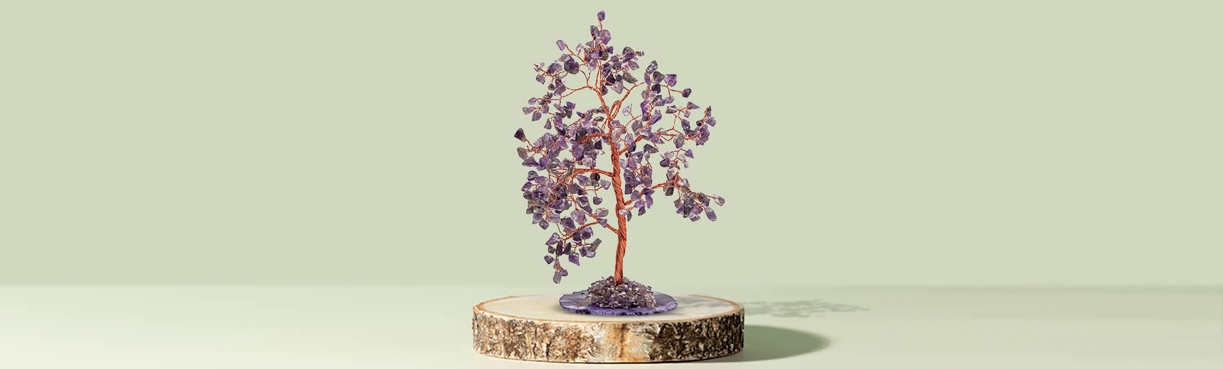 Exploring Amethyst Tree Benefits : A Comprehensive Guide
