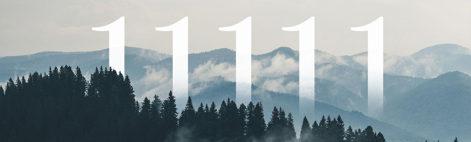 Exploring the Deep Meaning Behind Angle Numbers 11111