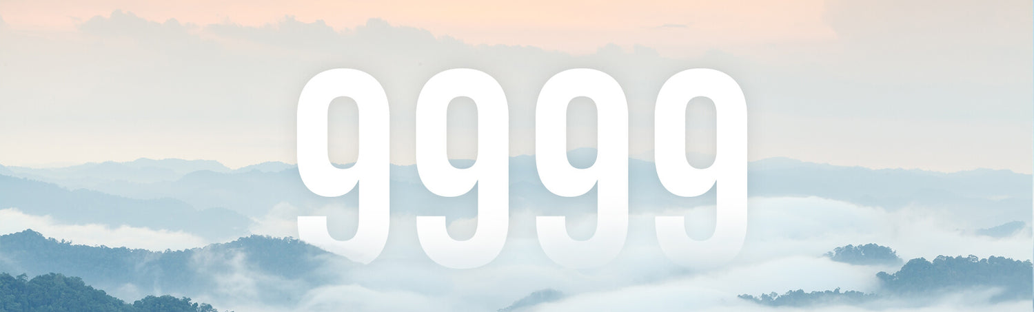 Angle Numbers 9999: A Guide to Spiritual Closure | Solacely