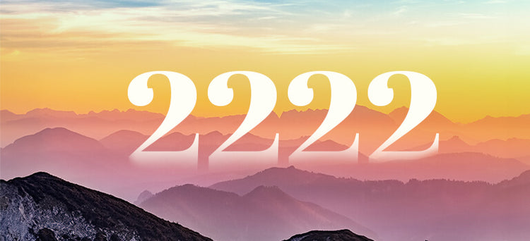 Angel Number 2222: Your Guide to Spiritual Alignment | Solacely