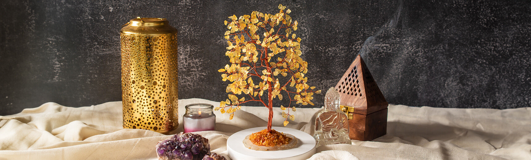 Citrine Tree: Discover Its Vibrant Energy & Uses | Solacely