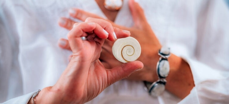 Gomti Chakra Meaning, Benefits, and Properties