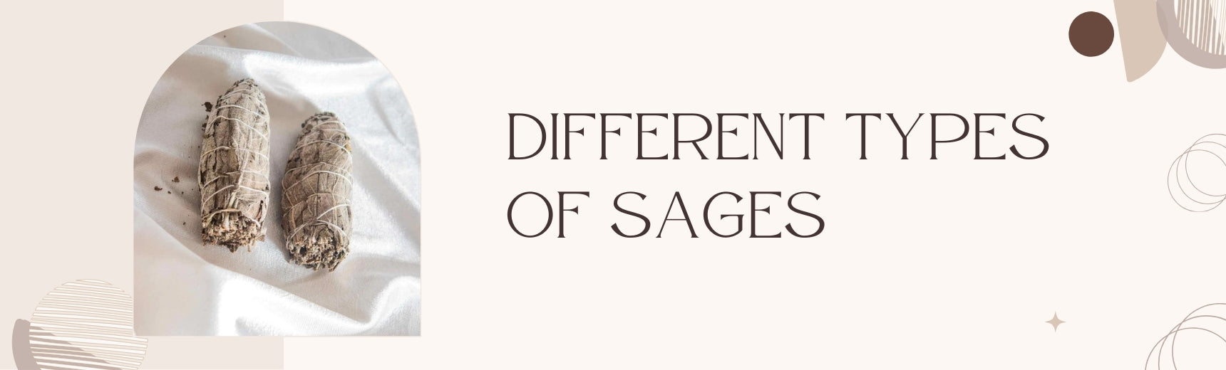 Types of Sage: Comprehensive Guide to Sage Varieties